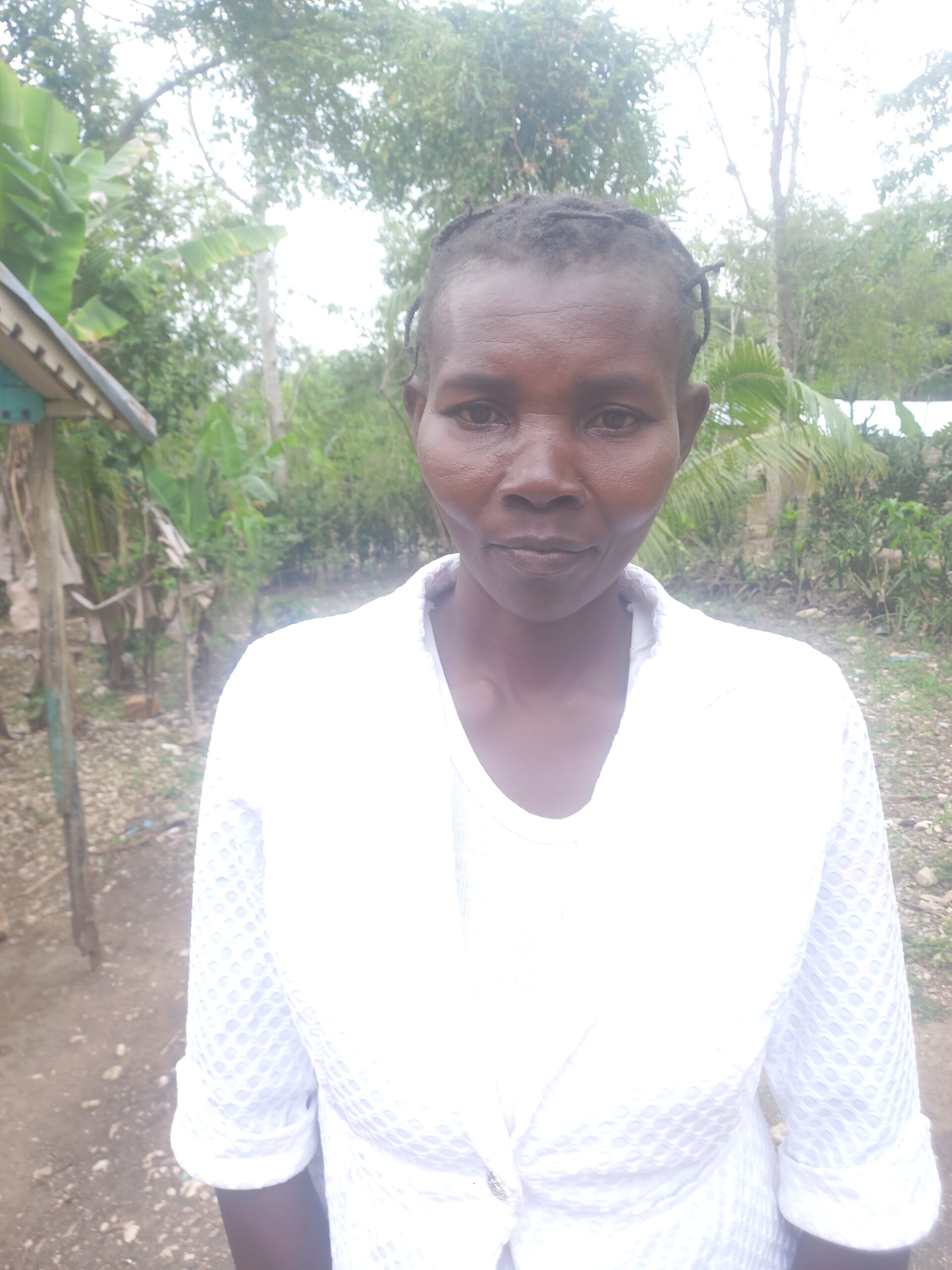 Posts | Apprenticeship in Education | Essays on Life in Haiti by Steven ...